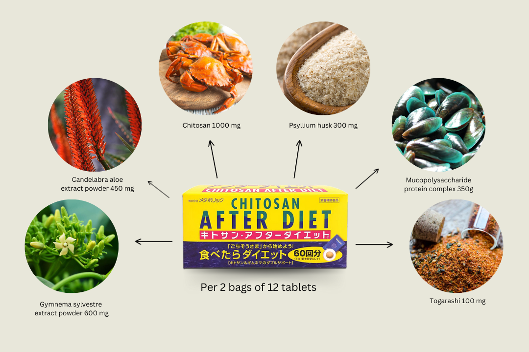 Chitosan Supplement after Diet - Japanese supplement – Naturacare